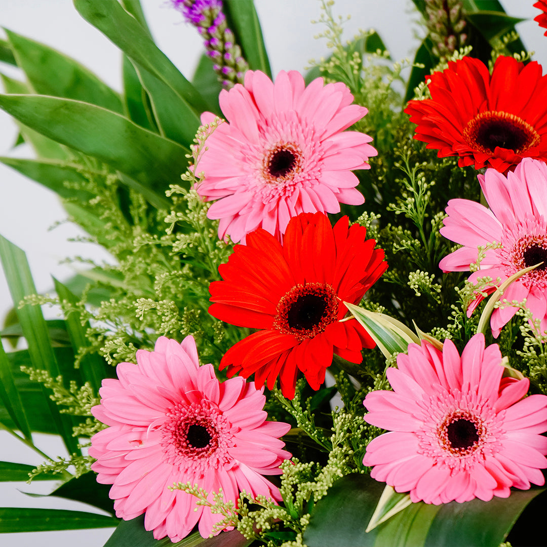 Grand Triumph – Brielle Flower Studio